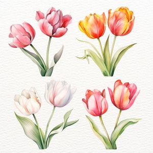 Spring Tulip Clipart, Watercolor Tulips, Images of Beautiful Spring ...