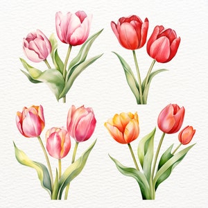 Spring Tulip Clipart, Watercolor Tulips, Images of Beautiful Spring ...