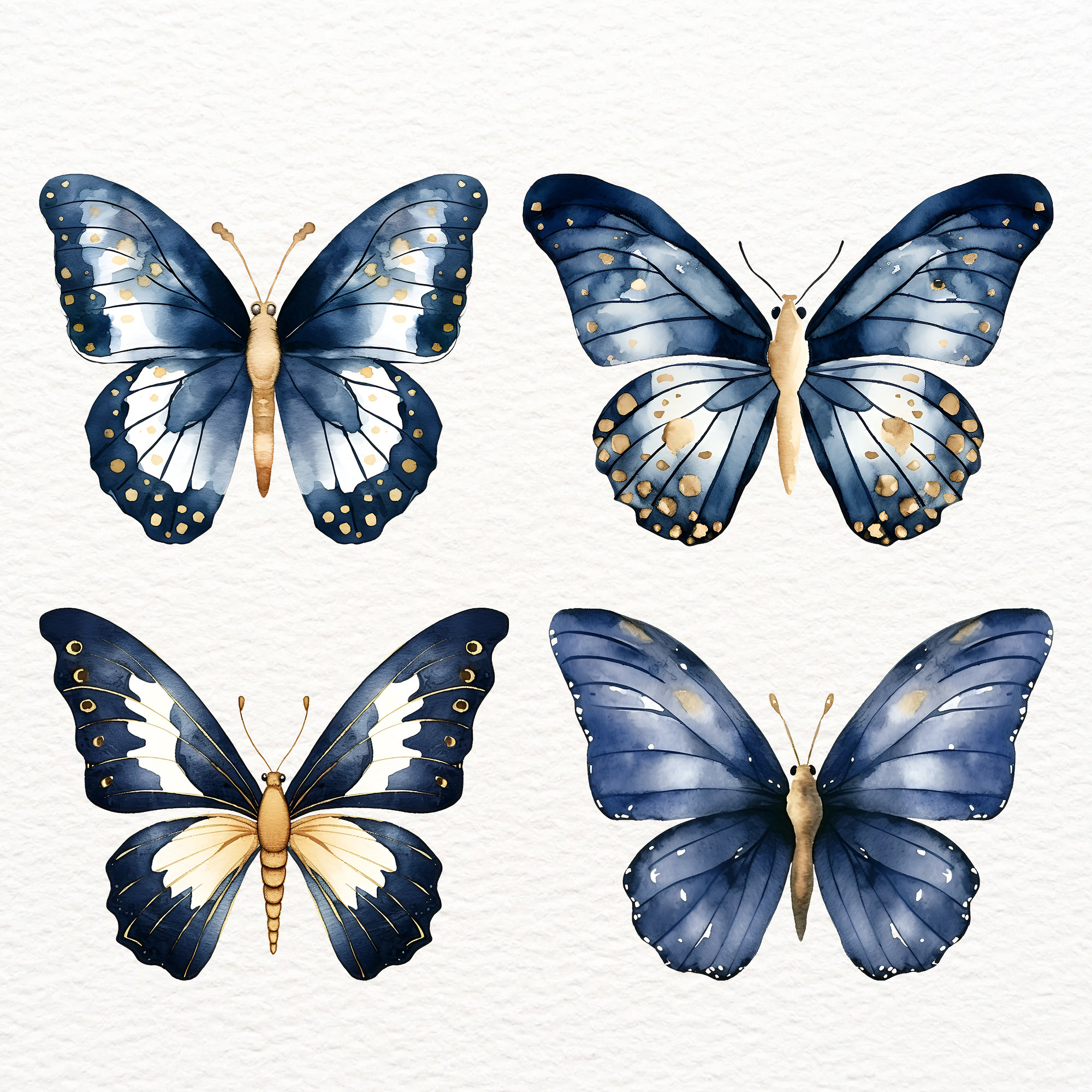 Navy Blue and Gold Butterflies Clipart, Watercolor Insects, Painted ...