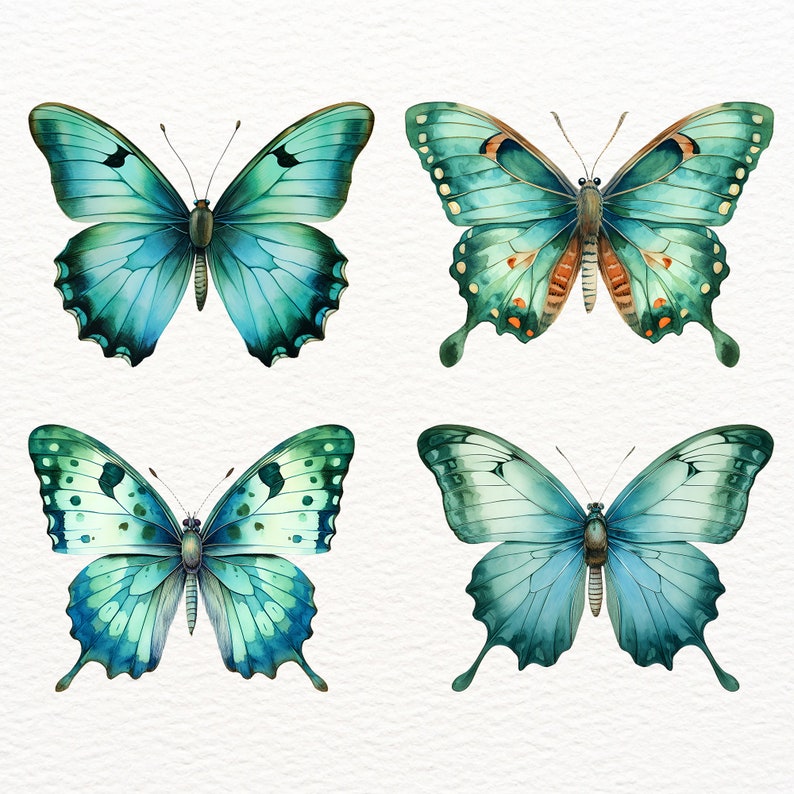 Vintage Turquoise Butterflies Clipart, Watercolor Insects, Painted ...