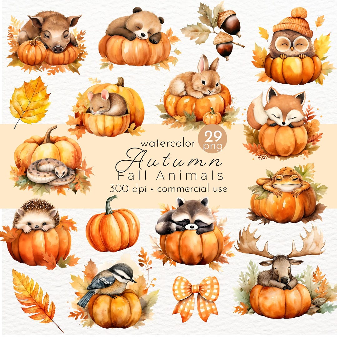 Autumn Fall Animals Clipart, Fall Images Collection, Baby Animals ...