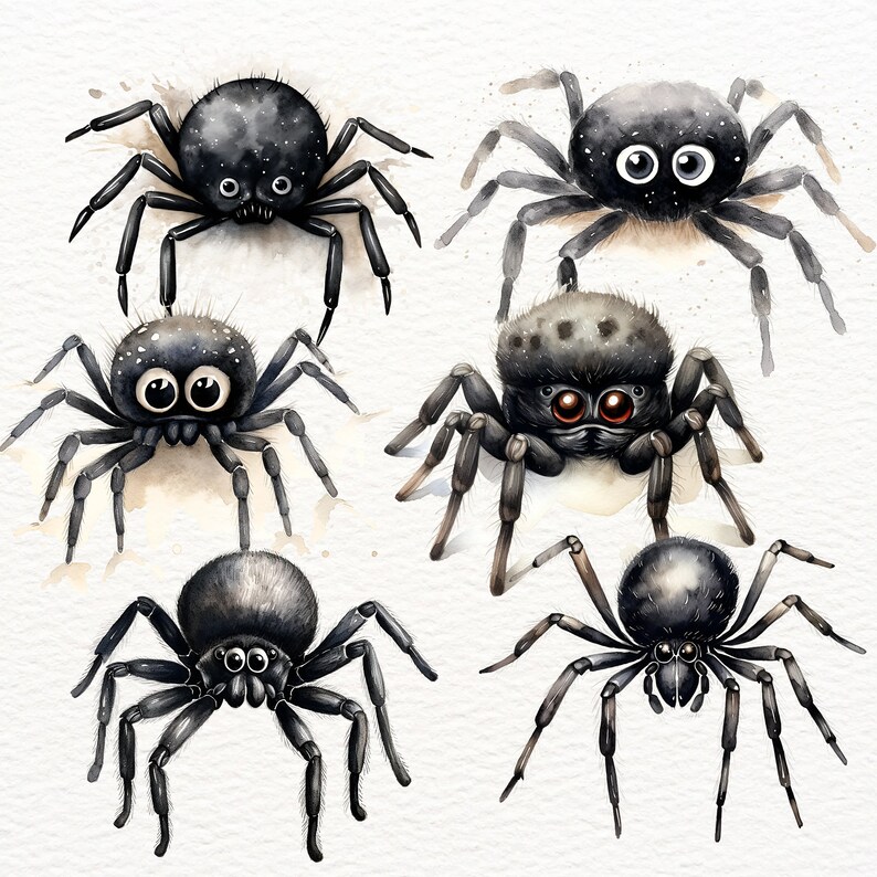 Cute Black Spiders Clipart, Gothic Clipart, Spiderweb Clipart Clipart ...