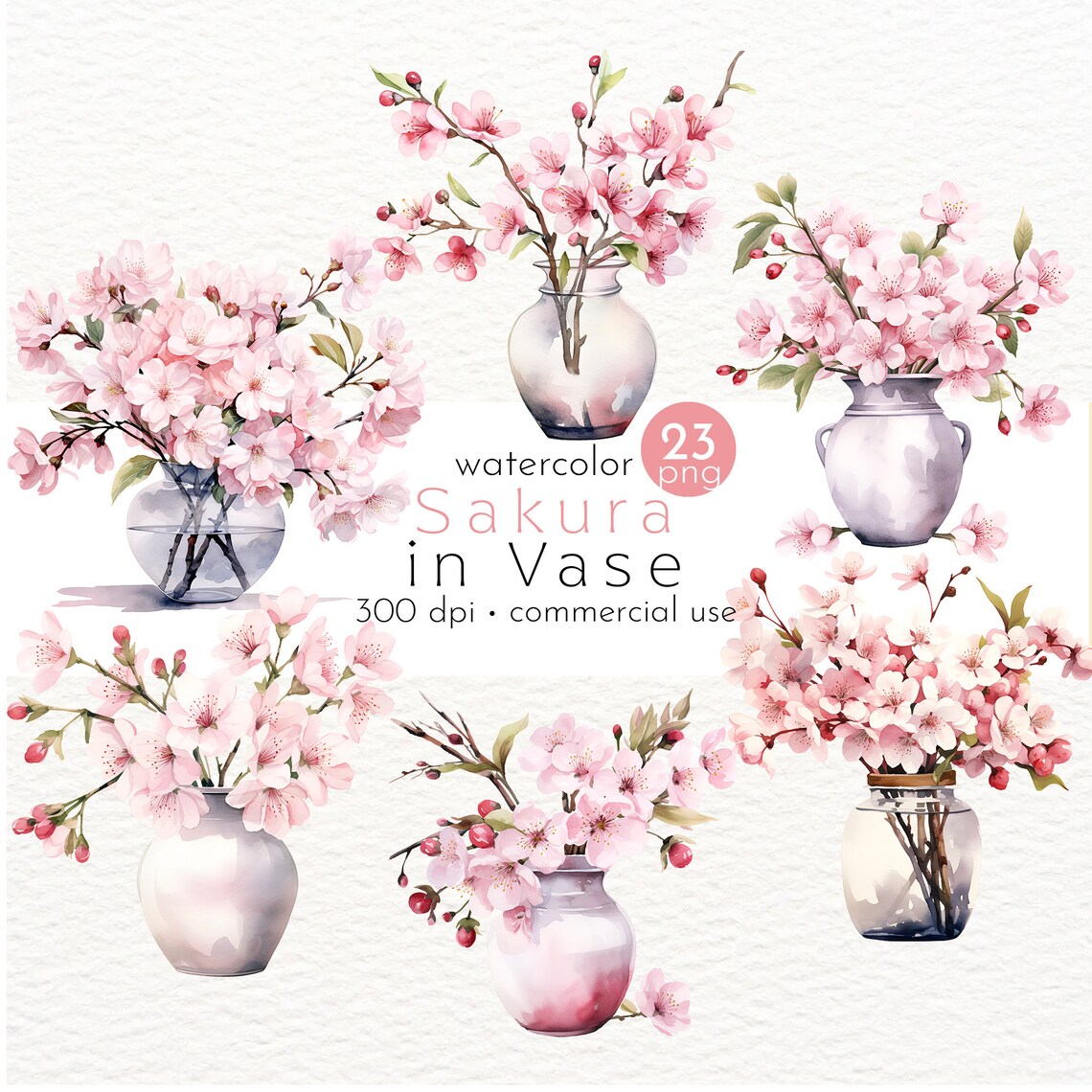 Watercolor Sakura Clipart: Cherry Blossom Vase Images (commercial Use ...