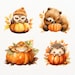 Autumn Animals Clipart: Fall PNG Images, Commercial Use (instant ...