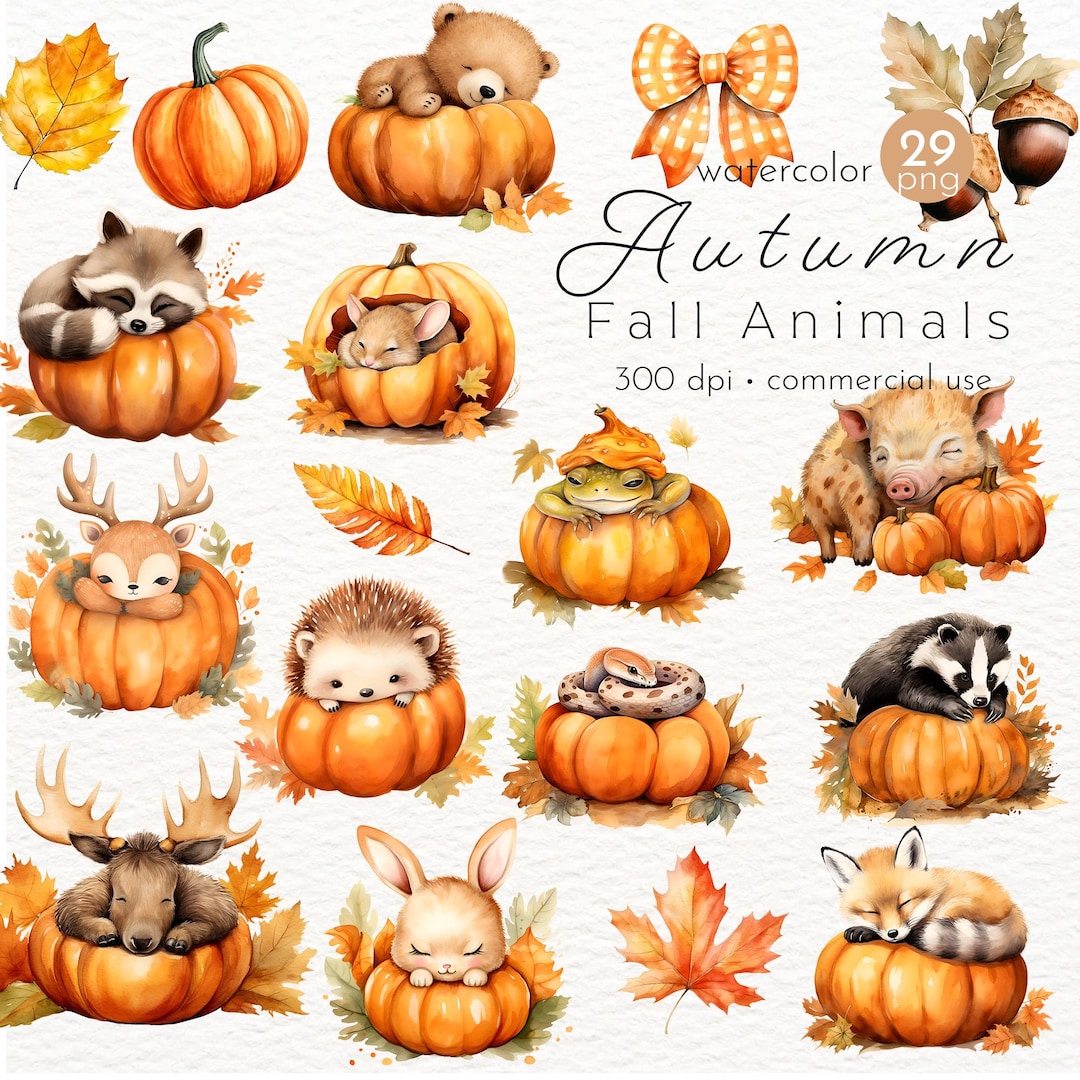 Autumn Fall Animals Clipart, Fall Pumpkin Images Collection, Baby ...
