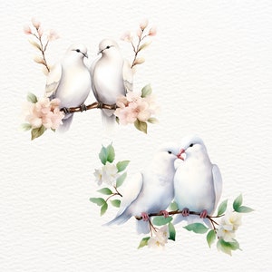 Watercolor Dove Clipart: 20 Flying Bird PNG Images (commercial Use) - Etsy