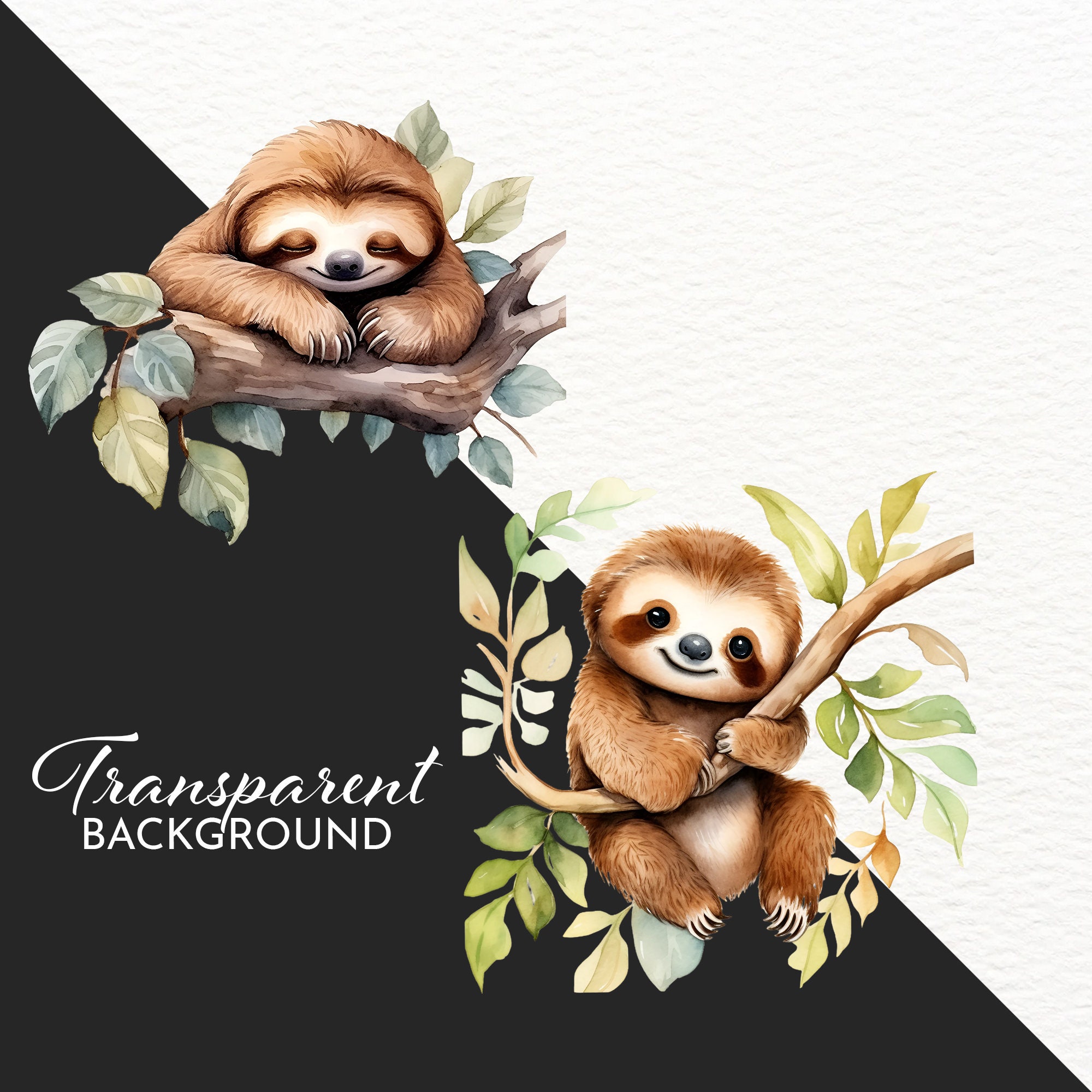 Cute Adorable Sloth Clipart, Jungle Animals, Baby Animals Clipart, Baby ...