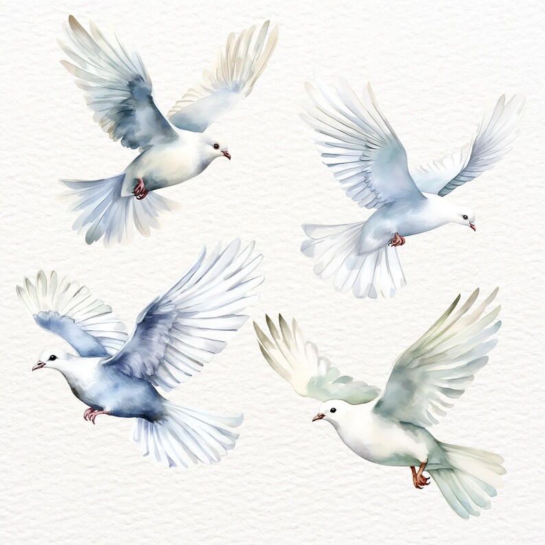 Watercolor Dove Clipart: 20 Flying Bird PNG Images (commercial Use) - Etsy