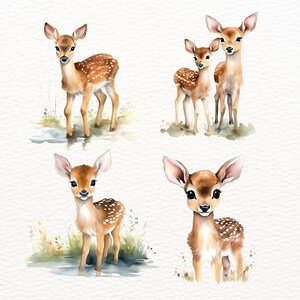 Baby Deer Clipart: 18 Watercolor Forest Animals (PNG, Commercial Use ...