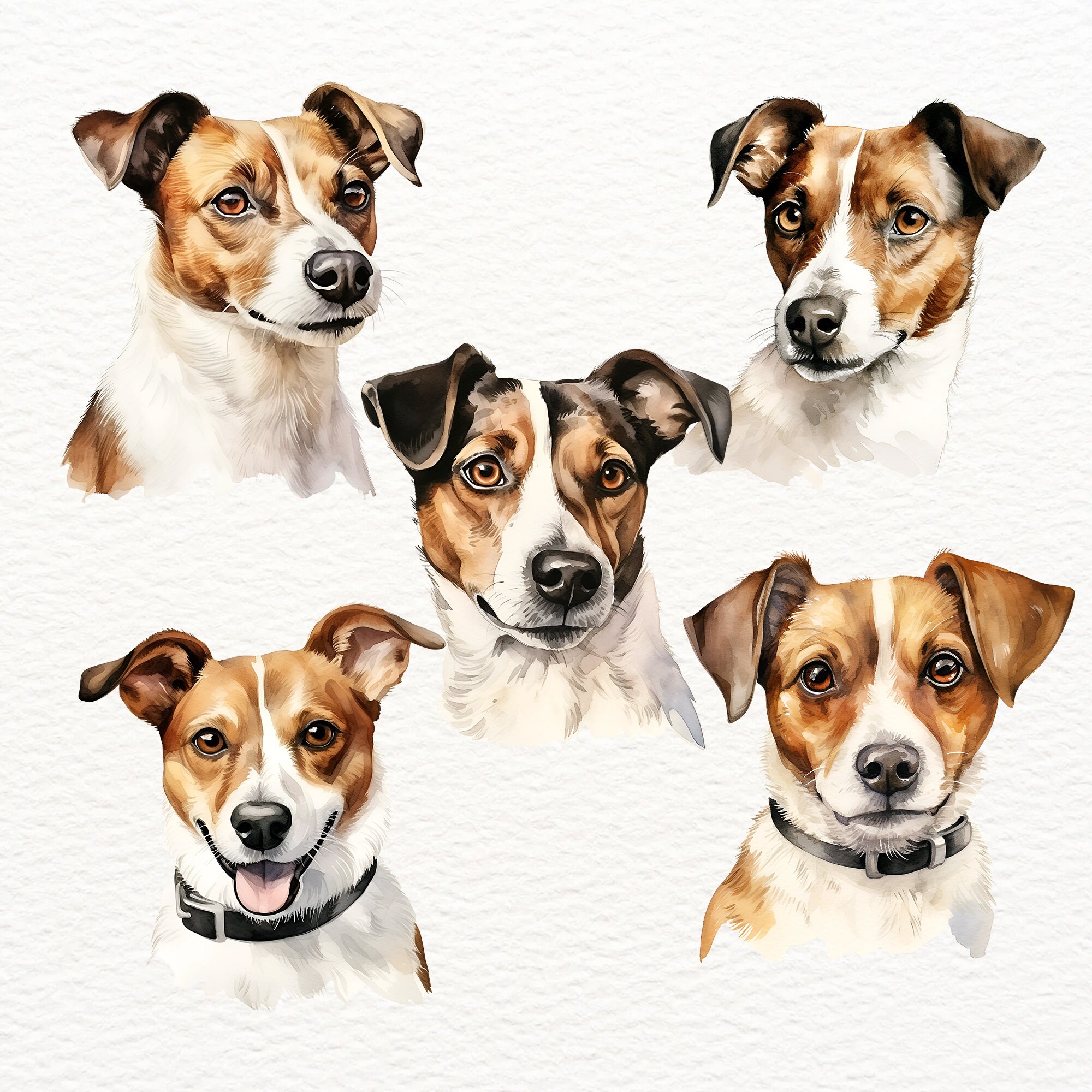 Jack Russell Terrier Clipart: Watercolor Puppy Dog Art (30 PNG ...