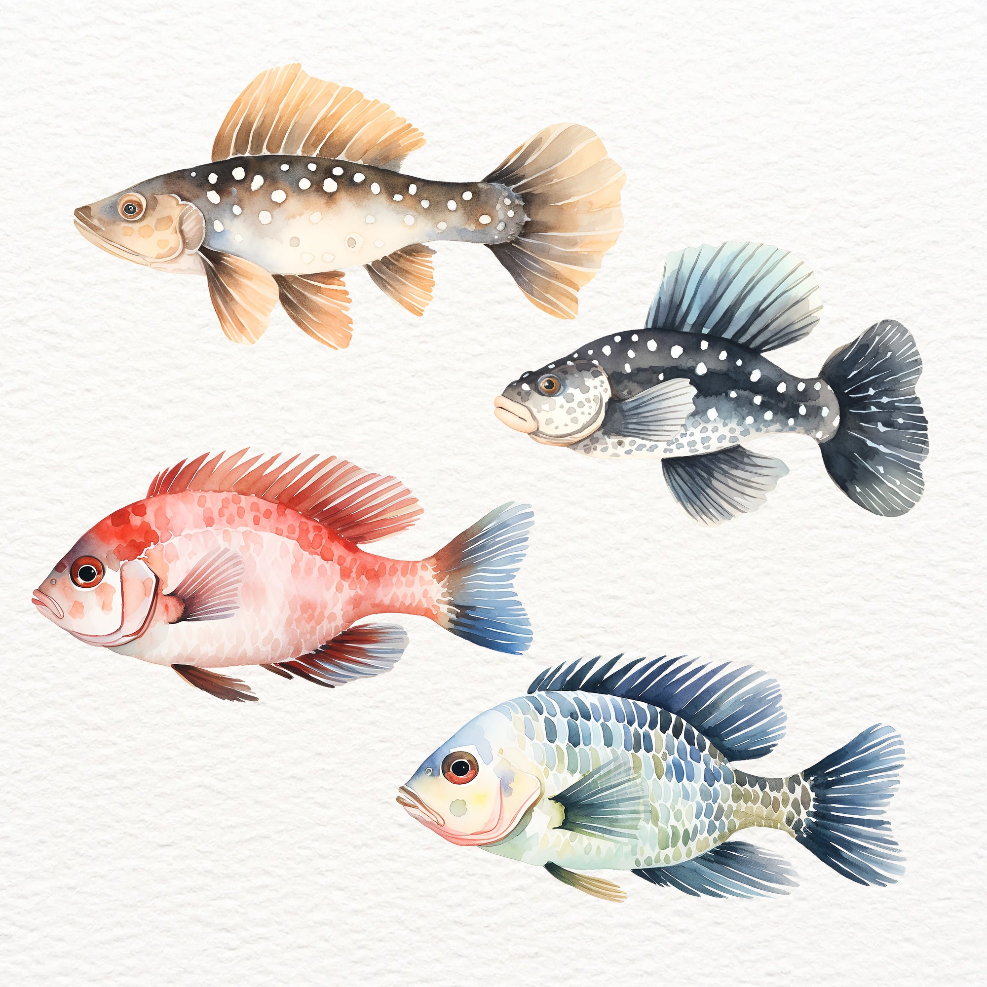 Exotic Fishes Clipart, Watercolor Fish Clipart, Baby Shower, Tropical ...