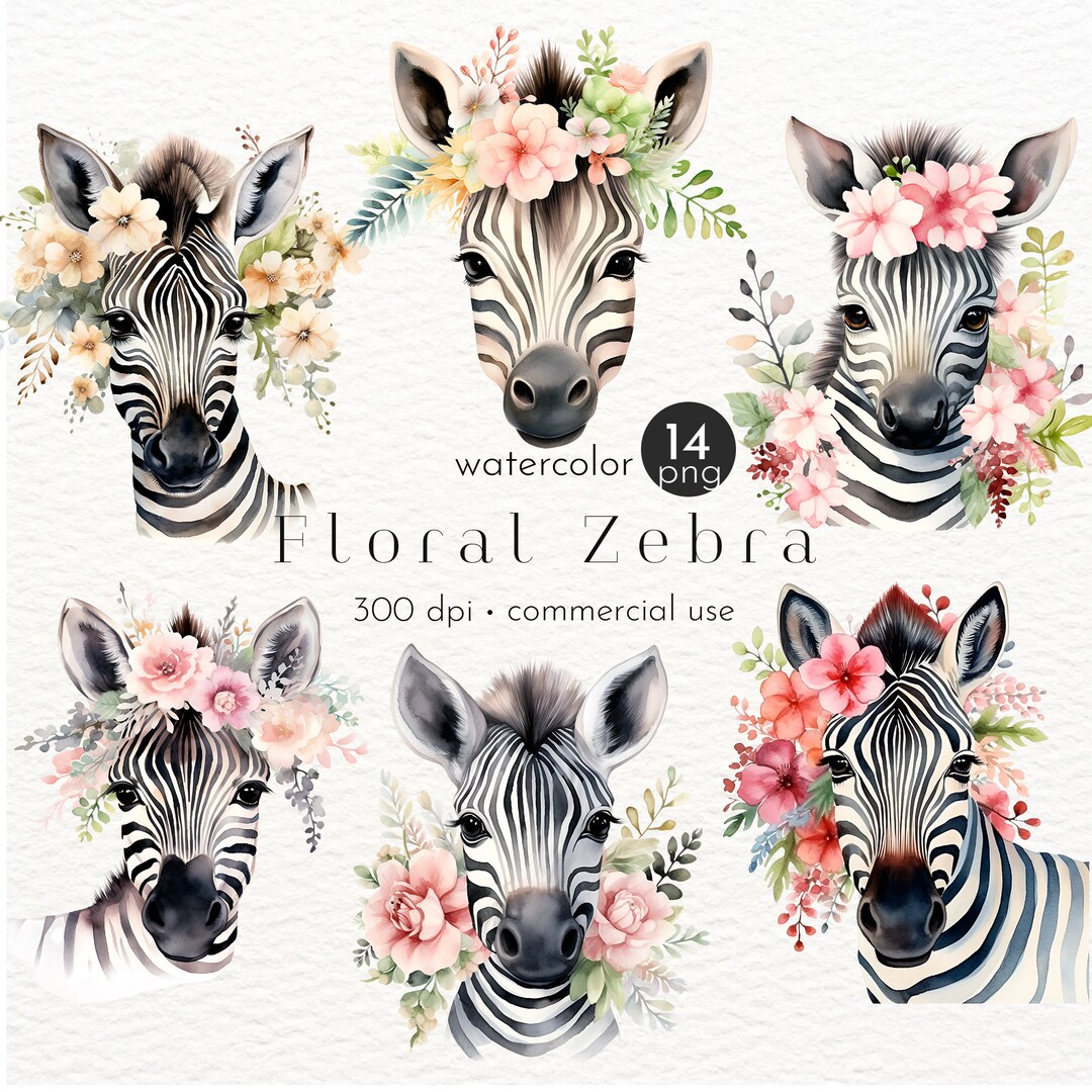 Watercolor Floral Zebra Clipart: Safari Animal PNG (commercial Use) - Etsy