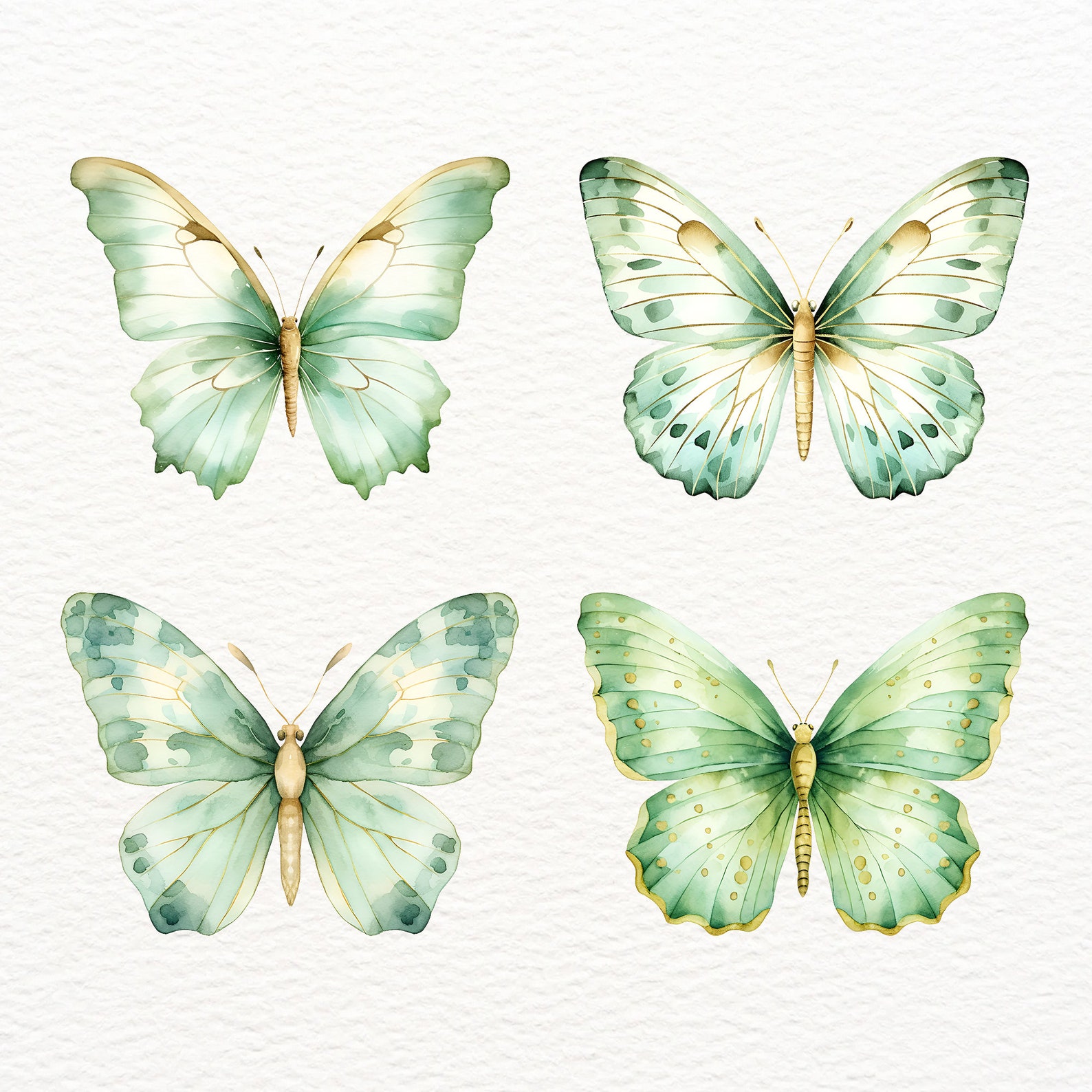 Mint Green and Gold Butterflies Clipart, Watercolor Insects, Painted ...