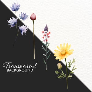 Wildflowers Clipart, Watercolor Boho Flowers, Wild Flower Painting ...