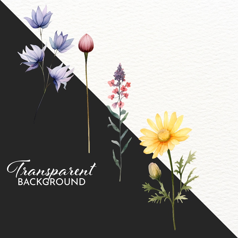 Wildflowers Clipart, Watercolor Boho Flowers, Wild Flower Painting ...