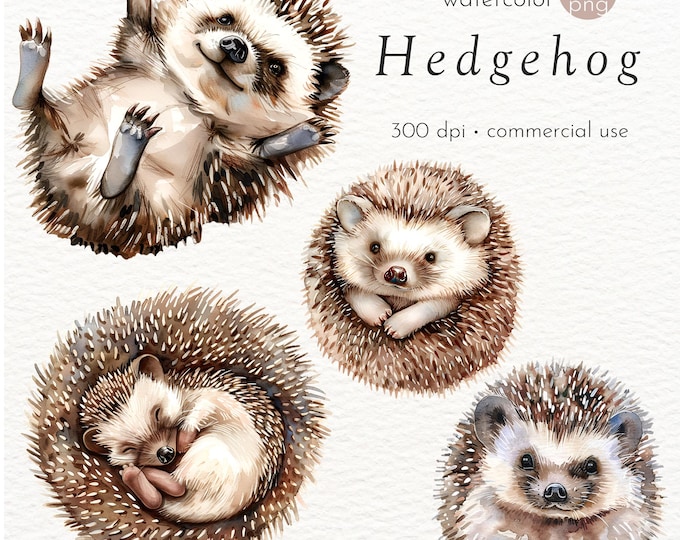 Cute Little Hedgehog Poses Clipart With Watercolor Illustration - Etsy ...