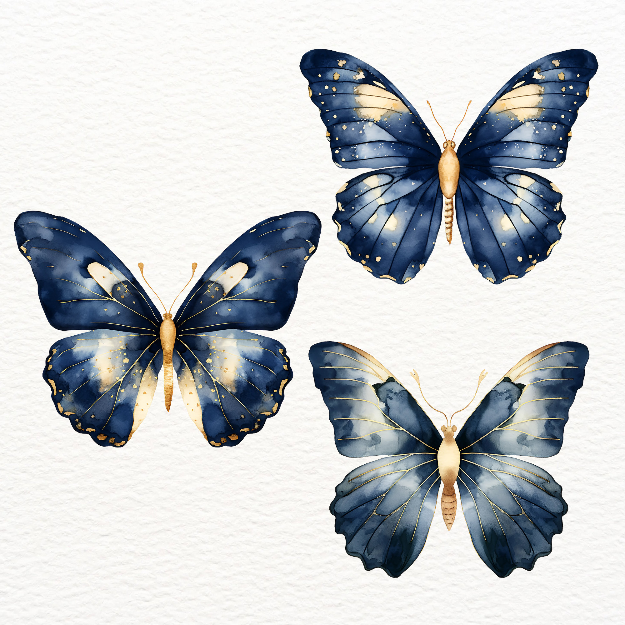 Navy Blue and Gold Butterflies Clipart, Watercolor Insects, Painted ...