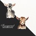 Watercolor Baby Goat Clipart: Farm Animal PNG Images (commercial Use ...