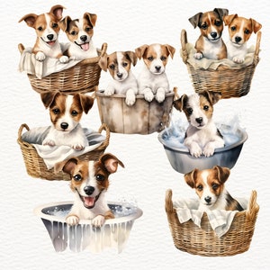 Jack Russell Terrier Clipart, Puppy Dog Clipart, Watercolor Dog, Gifts ...
