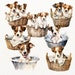 Jack Russell Terrier Clipart: Watercolor Puppy Dog Art (30 PNG ...