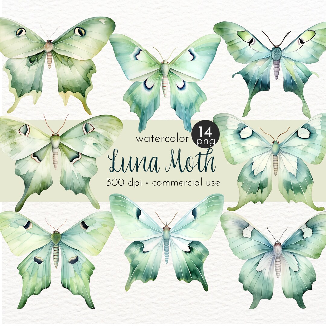 Luna Moth Clipart, Watercolor Insects, Painted Moths, Rustic Organic ...