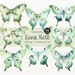 Luna Moth Clipart, Watercolor Insects, Painted Moths, Rustic Organic ...