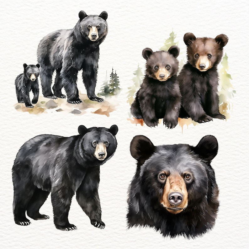 Black Bears Clipart, Watercolor Bear, Woodland Animals, Forest Clipart ...