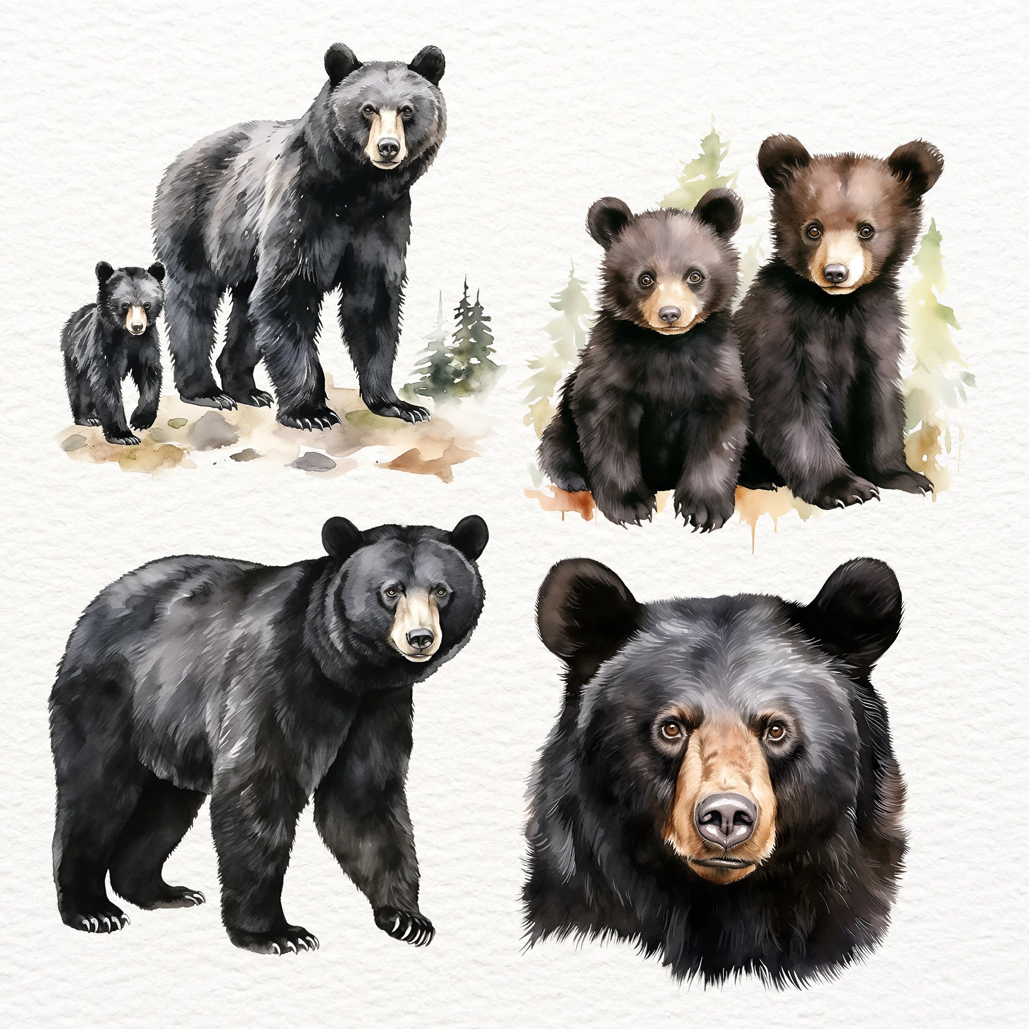 Black Bears Clipart, Watercolor Bear, Woodland Animals, Forest Clipart ...