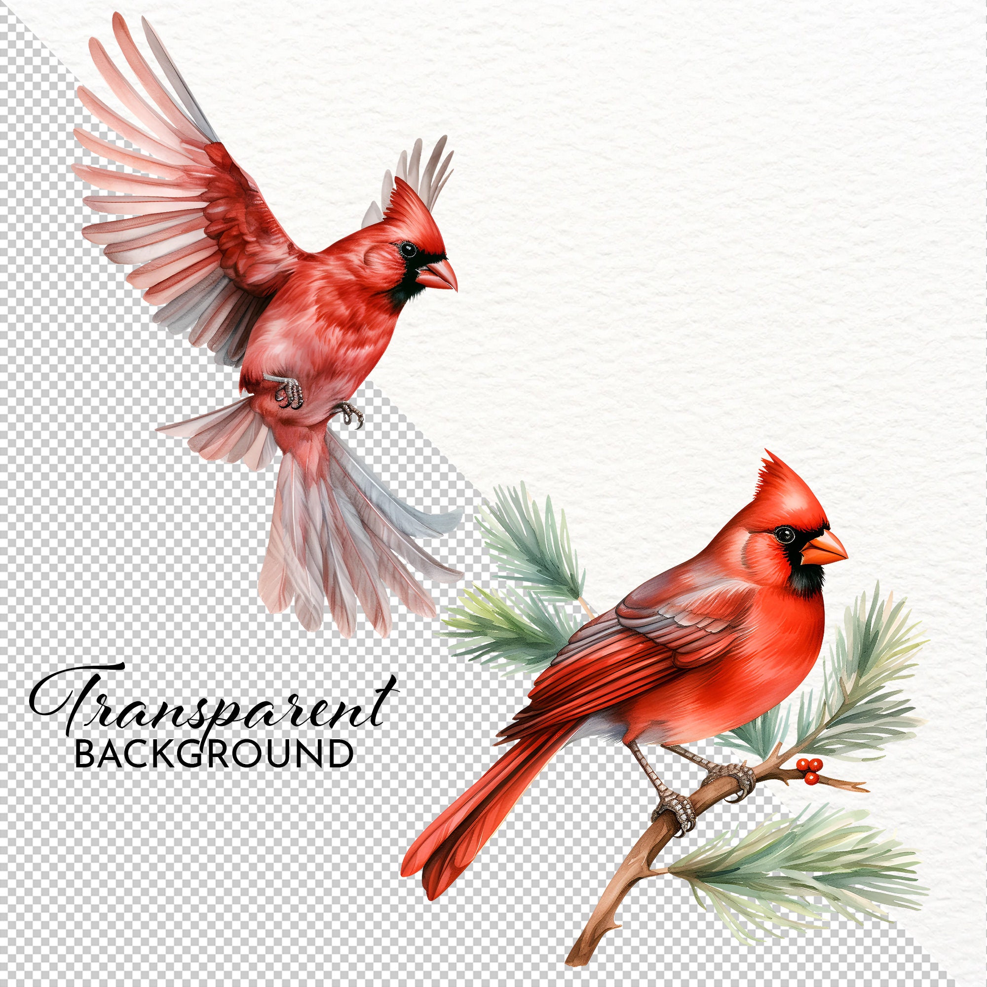 Red Cardinal Clipart, Bird Clip Art, Flying Red Cardinal, Watercolor ...