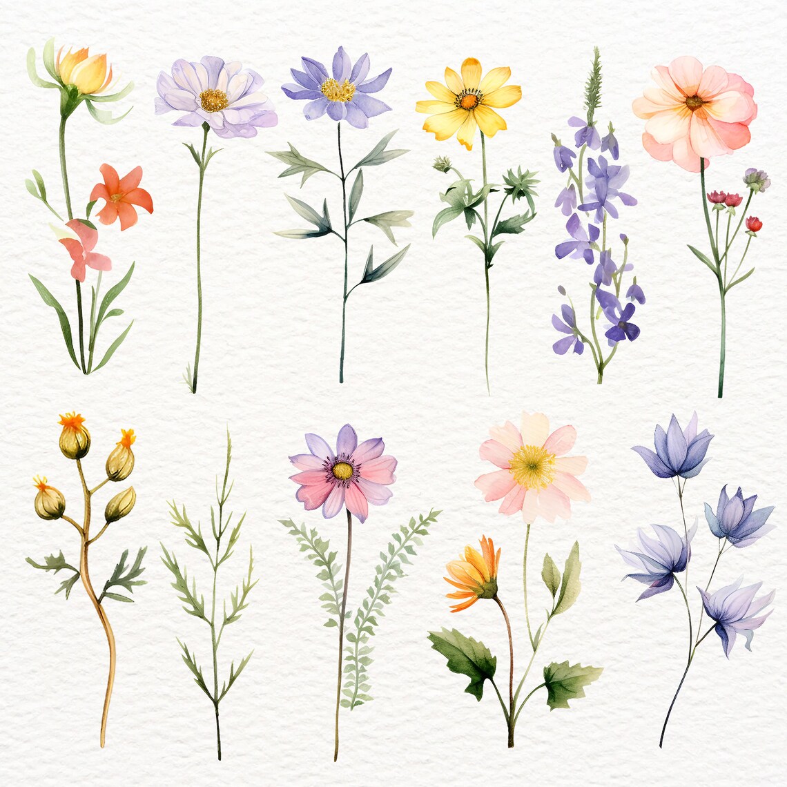 Wildflowers Clipart, Watercolor Boho Flowers, Wild Flower Painting ...