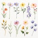 Wildflowers Clipart, Watercolor Boho Flowers, Wild Flower Painting ...