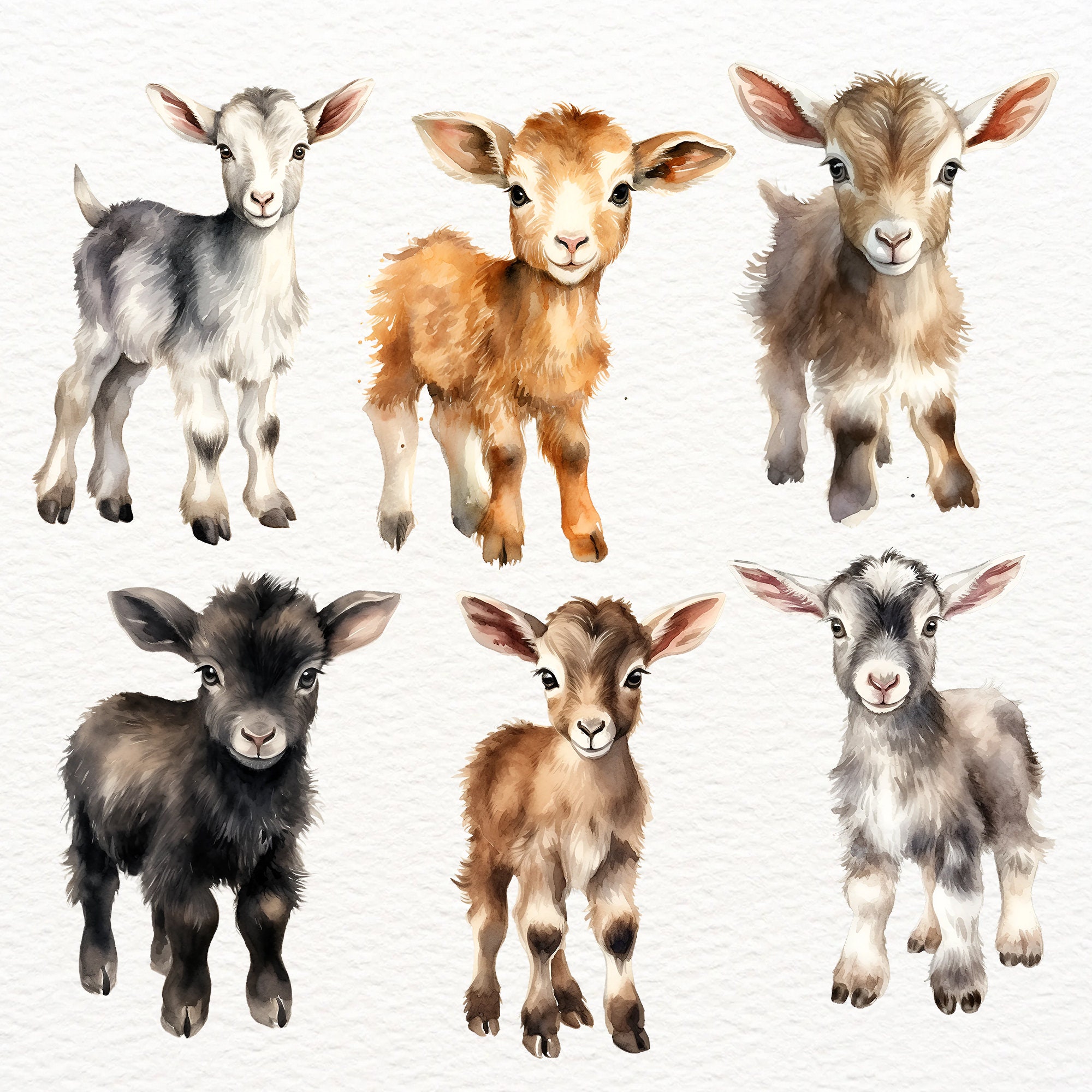 Baby Goat Clipart, Baby Goat Nursery Clipart, Watercolor Goat, Farm ...