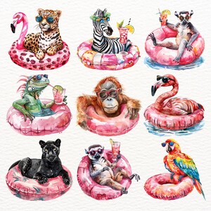Tropical Pool Party Clipart: Animal Pool Floats (PNG, Instant Download ...