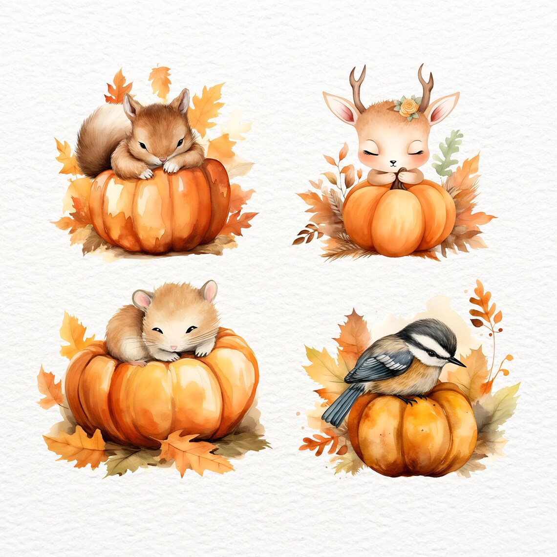 Autumn Animals Clipart: Fall PNG Images, Commercial Use (instant ...