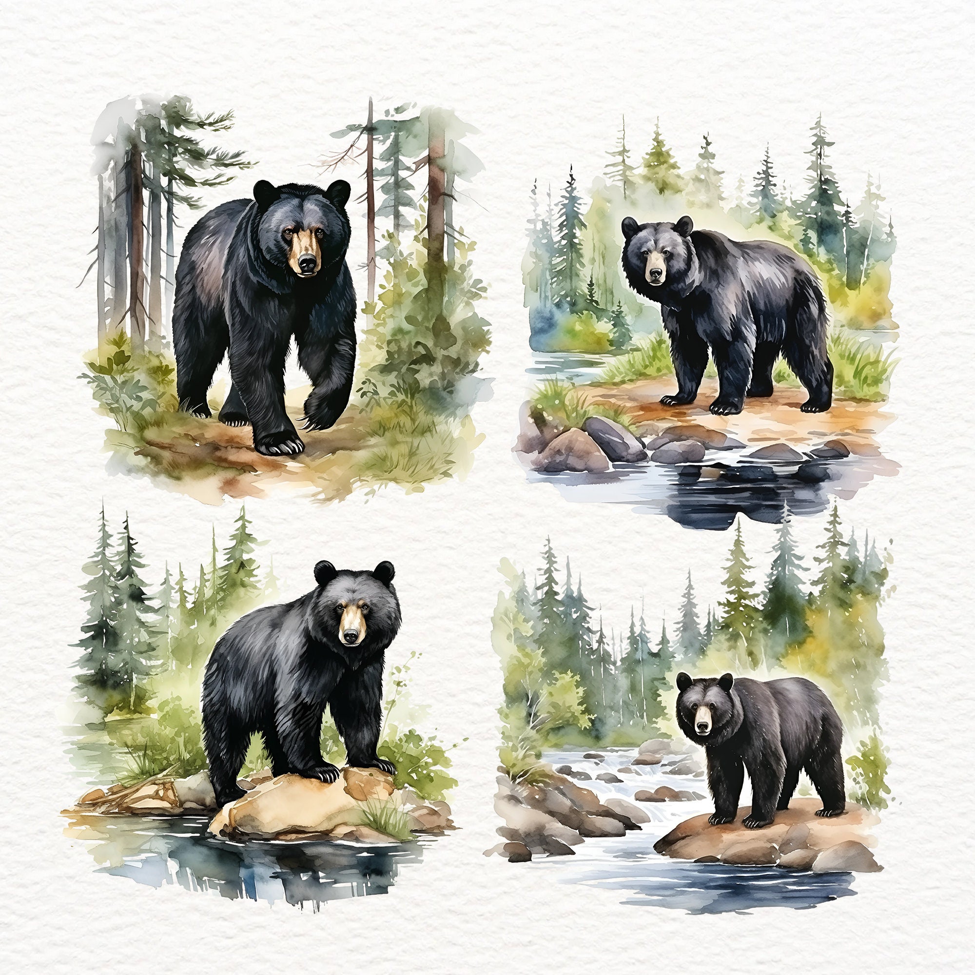 Black Bears Clipart, Watercolor Bear, Woodland Animals, Forest Clipart ...