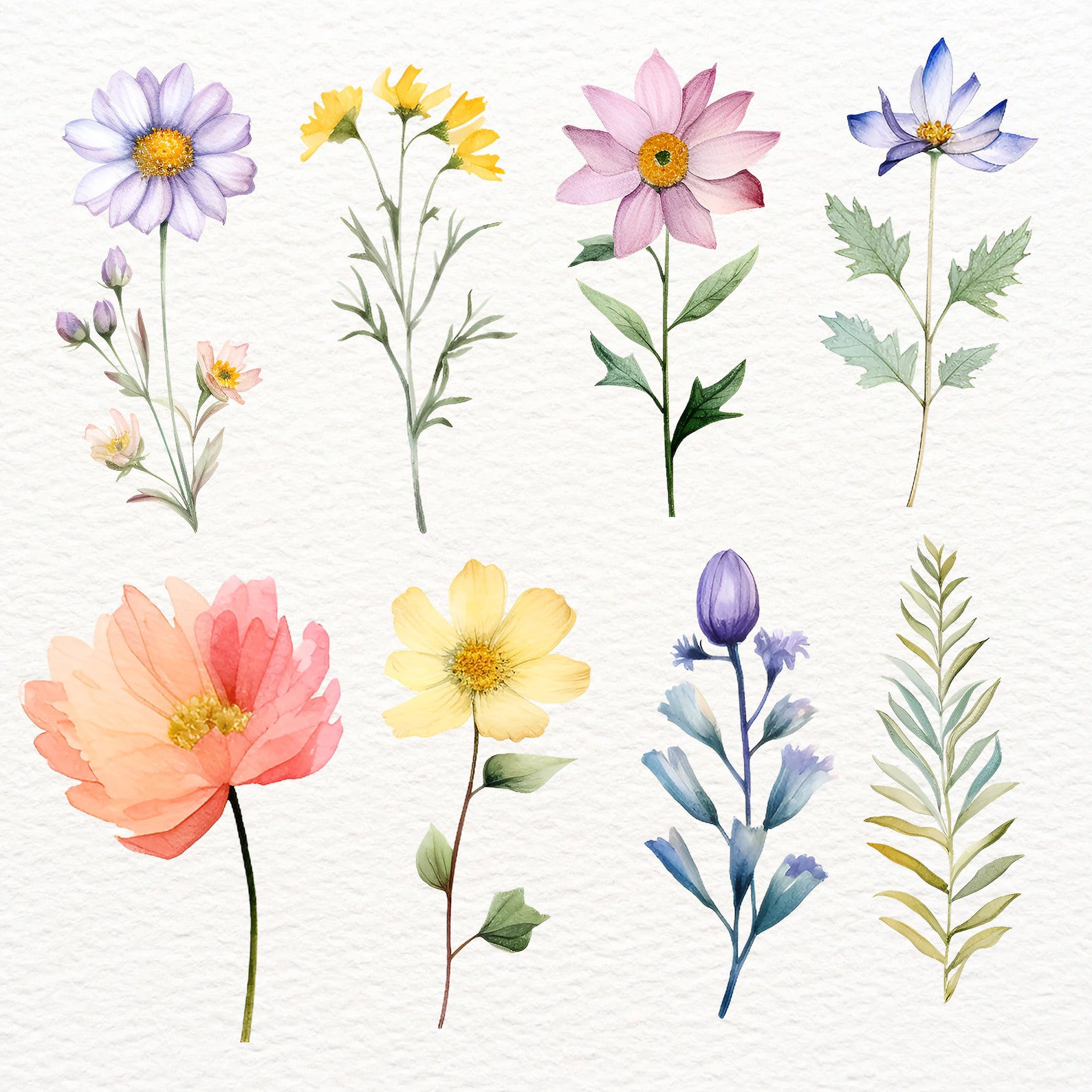 Wildflowers Clipart, Watercolor Boho Flowers, Wild Flower Painting ...