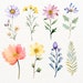 Wildflowers Clipart, Watercolor Boho Flowers, Wild Flower Painting ...