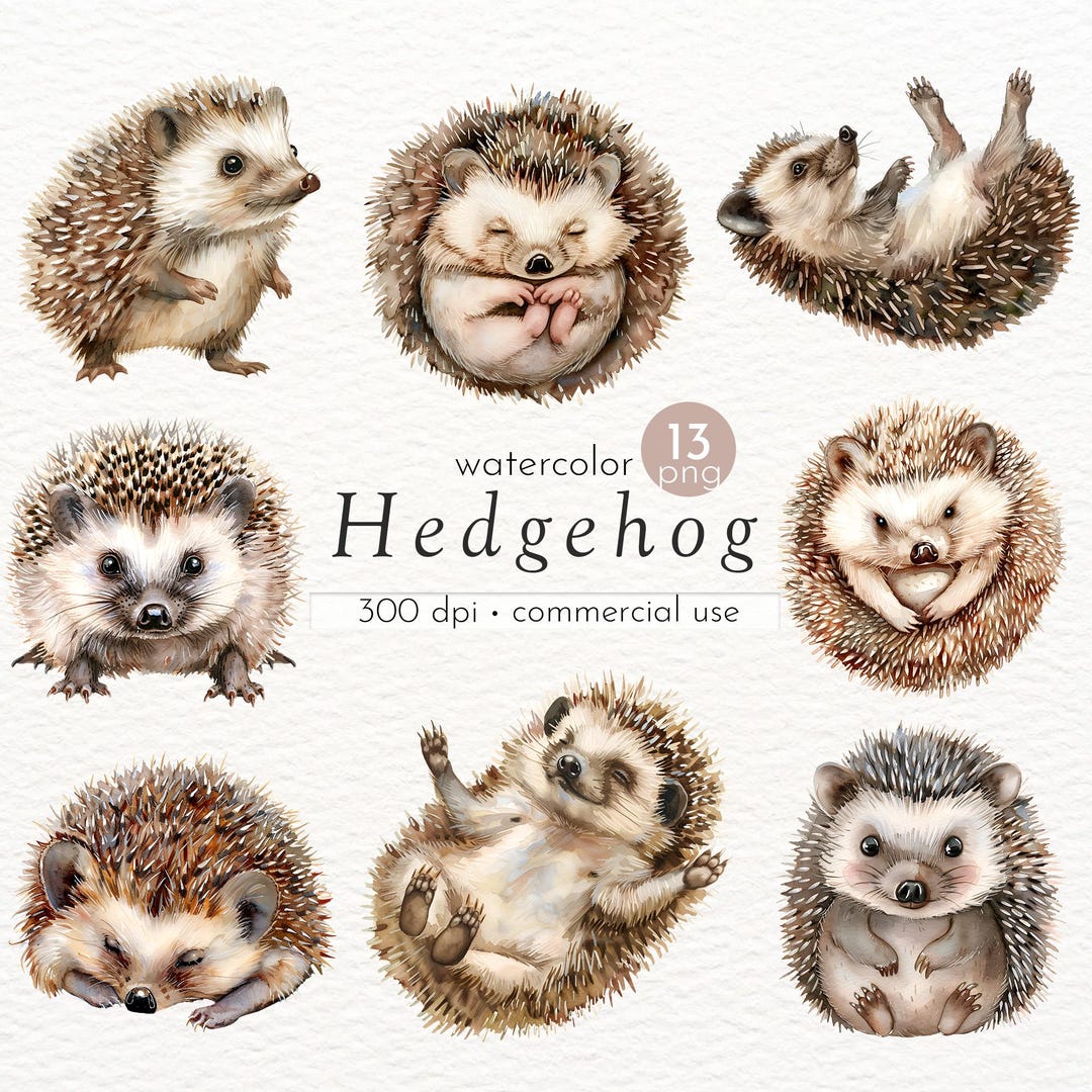 Cute Hedgehog Clipart, Little Hedgehog Baby, Baby Shower Clipart, Baby ...