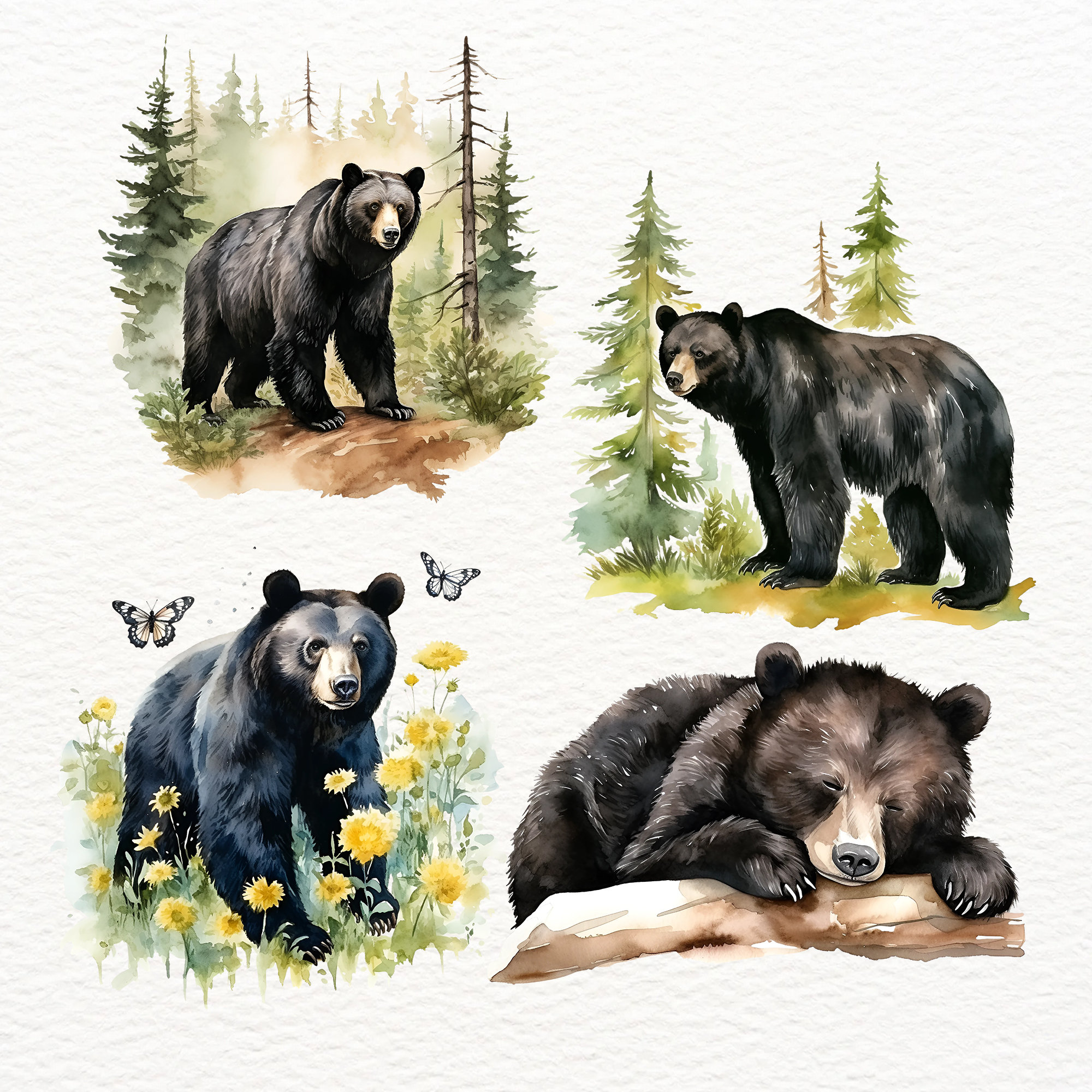 Black Bears Clipart, Watercolor Bear, Woodland Animals, Forest Clipart ...