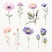 Wildflowers Clipart, Watercolor Boho Flowers, Wild Flower Painting ...