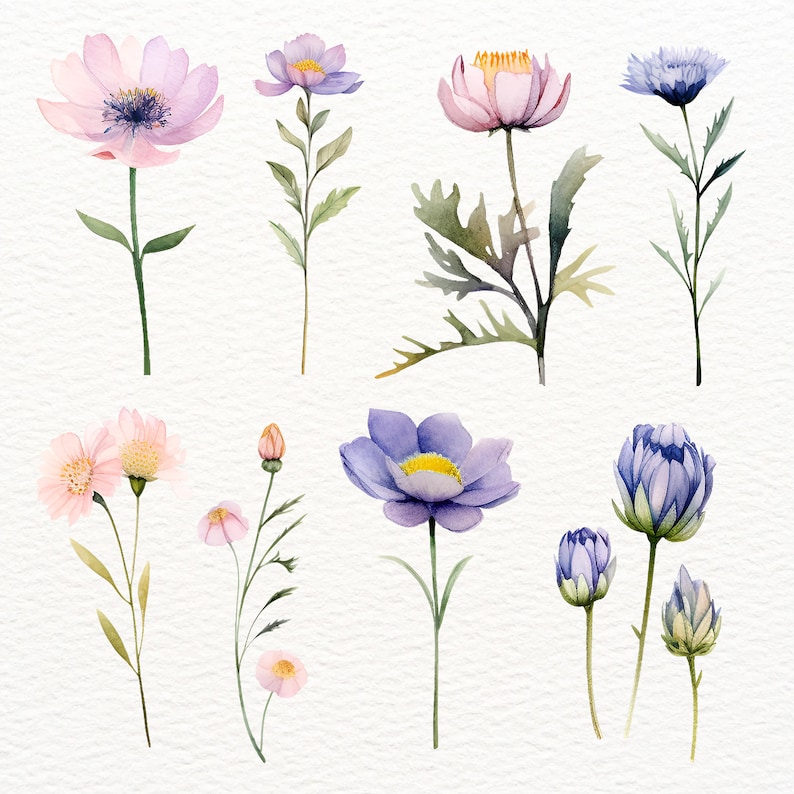 Wildflowers Clipart, Watercolor Boho Flowers, Wild Flower Painting ...