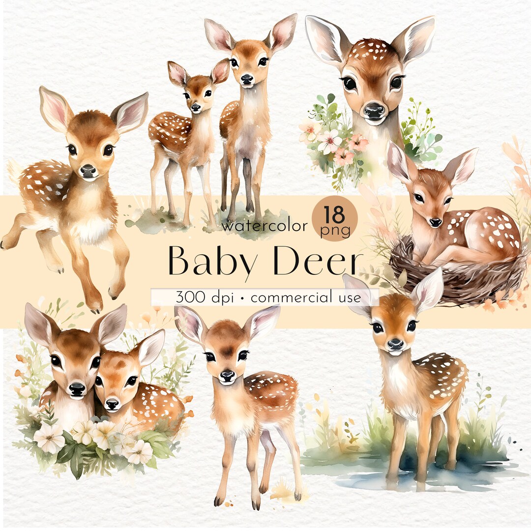 Baby Deer Clipart: 18 Watercolor Forest Animals (PNG, Commercial Use ...
