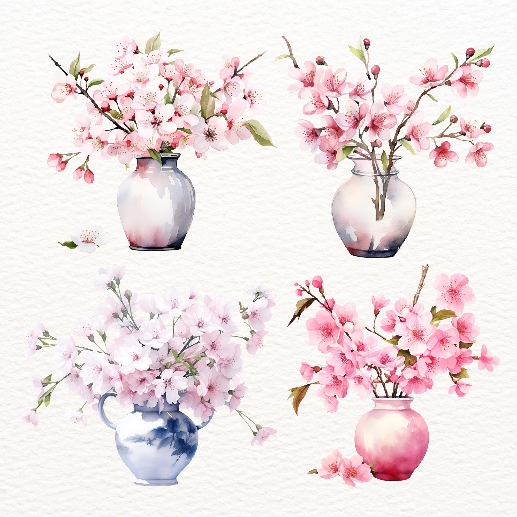 Watercolor Sakura Clipart: Cherry Blossom Vase Images (commercial Use ...