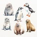 Arctic Animals Clipart, Penguin, Polar Bear, Walrus, Baby Shower ...