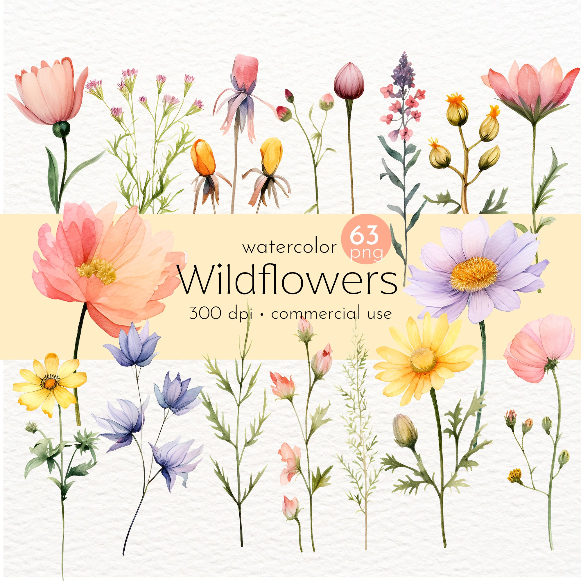 Wildflowers Clipart, Watercolor Boho Flowers, Wild Flower Painting ...