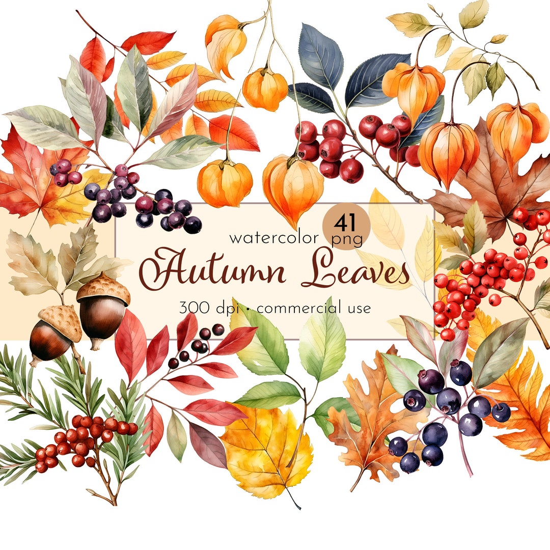 Autumn Leaves Clipart, Fall Clip Art, Watercolor Autumn, Fall Leaves ...
