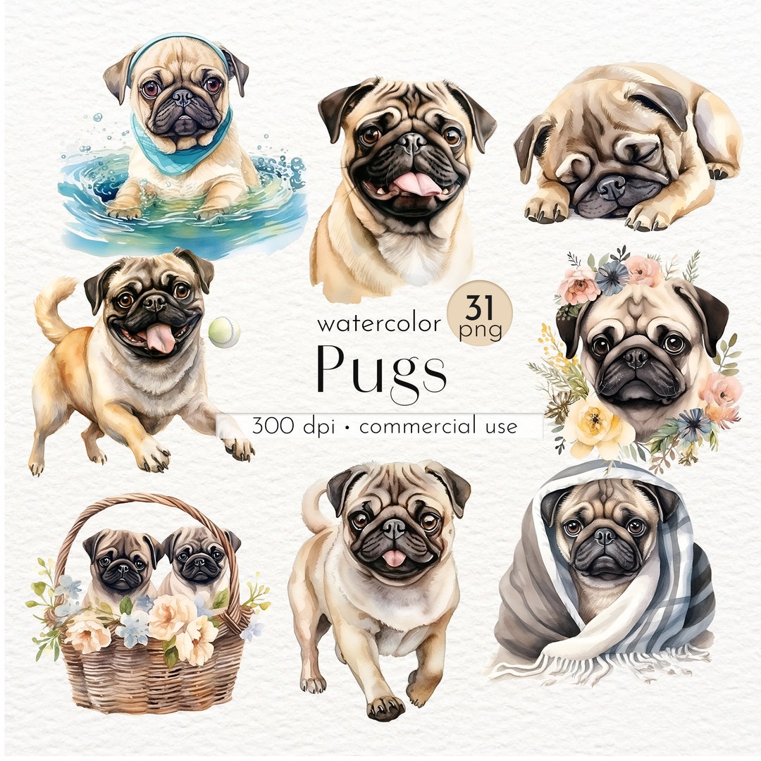 Watercolor Pugs Clipart: 31 Puppy Dog PNG Images (commercial Use) - Etsy