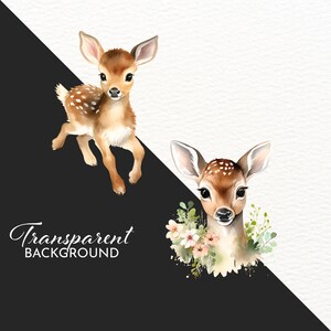 Baby Deer Clipart: 18 Watercolor Forest Animals (PNG, Commercial Use ...
