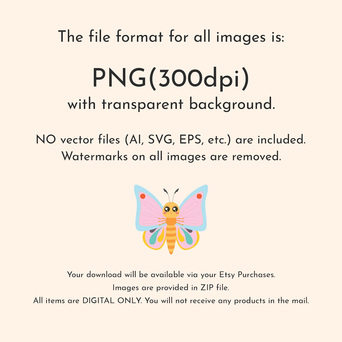 Bugs and Insects Clip Art: Butterfly, Spider, Bee (instant Download) - Etsy