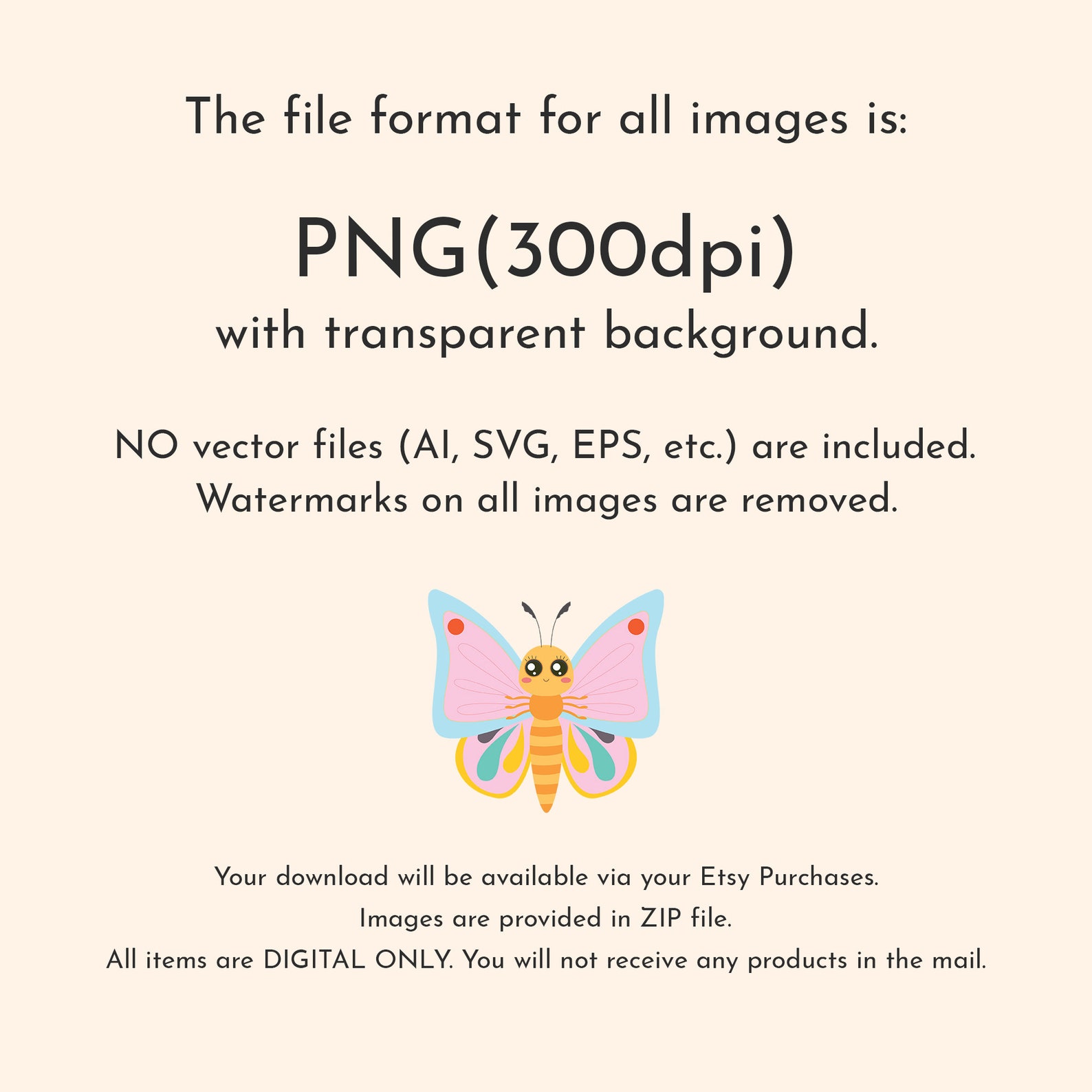 Bugs and Insects Clip Art: Butterfly, Spider, Bee (instant Download) - Etsy